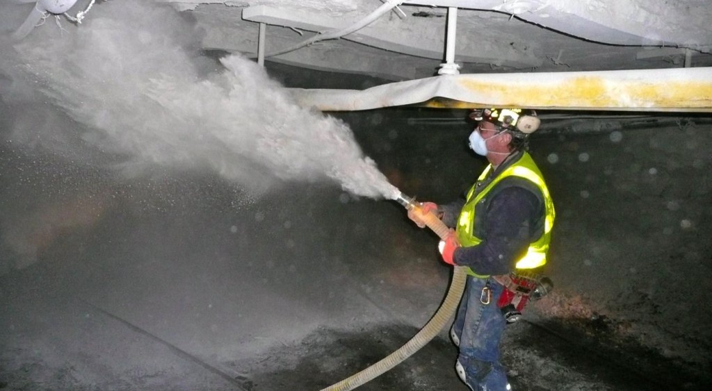 Injury and Disease Exposure & Risk Factors – Alpha Foundation